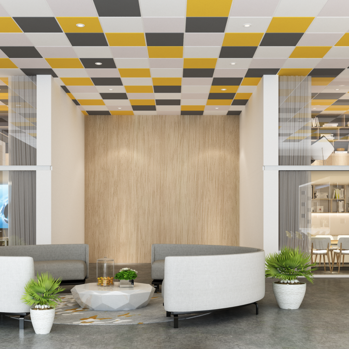 Elevating Education: Why ceilings are key to effective zoning in ...